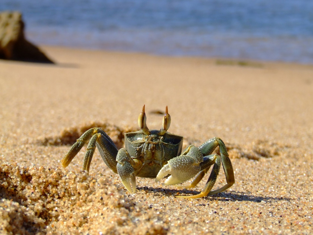 Excursions | ELEPHANT COAST GUESTHOUSE